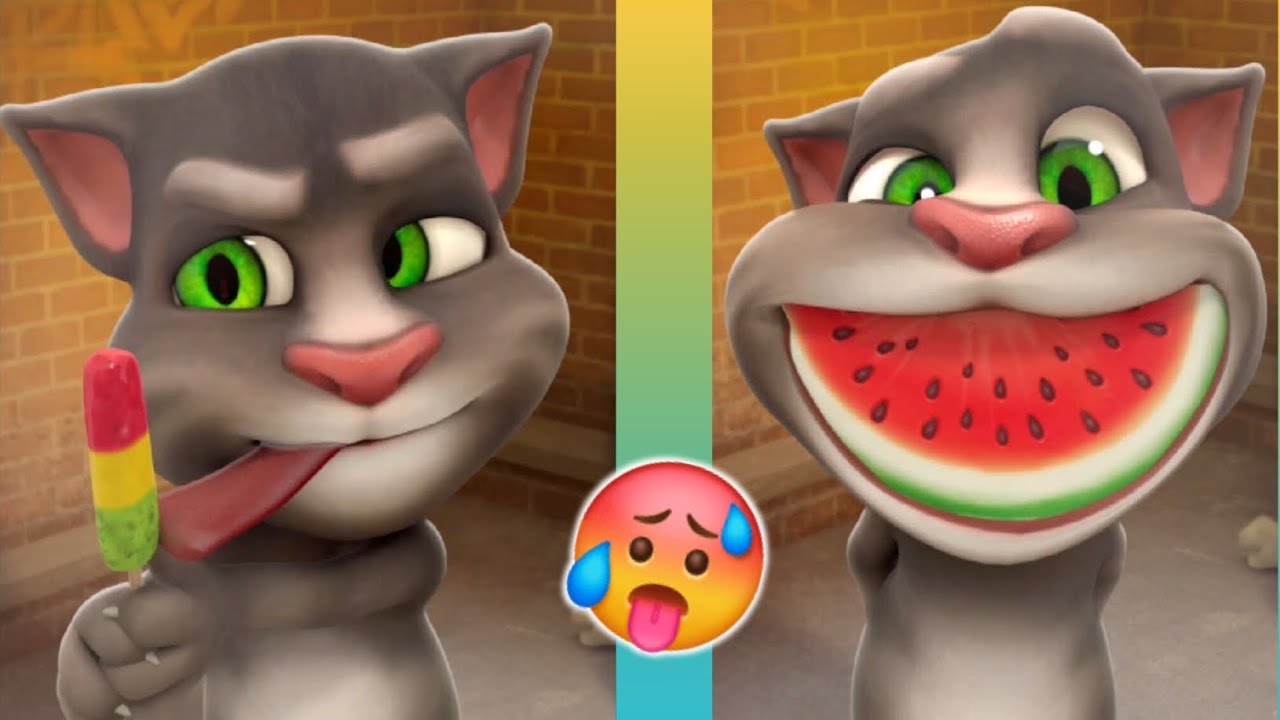 My Talking Tom Eating Watermelon || #cartoonifyHQ || @CartoonifyHQ ...