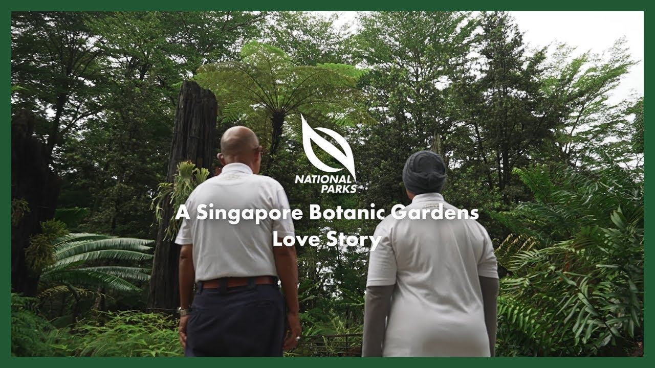NParks Portraits | A Singapore Botanic Gardens Love Story - YouTube