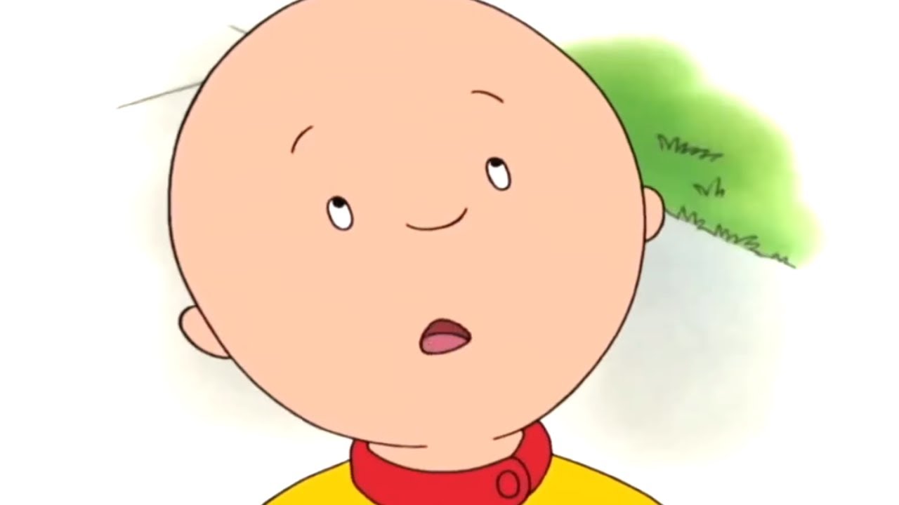 Caillou - 5 Horas | Caillou en Español Castellano - YouTube