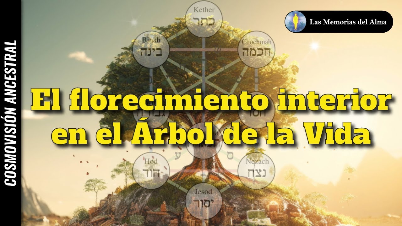 El Florecimiento Interior En El Árbol De La Vida 🌳 - YouTube