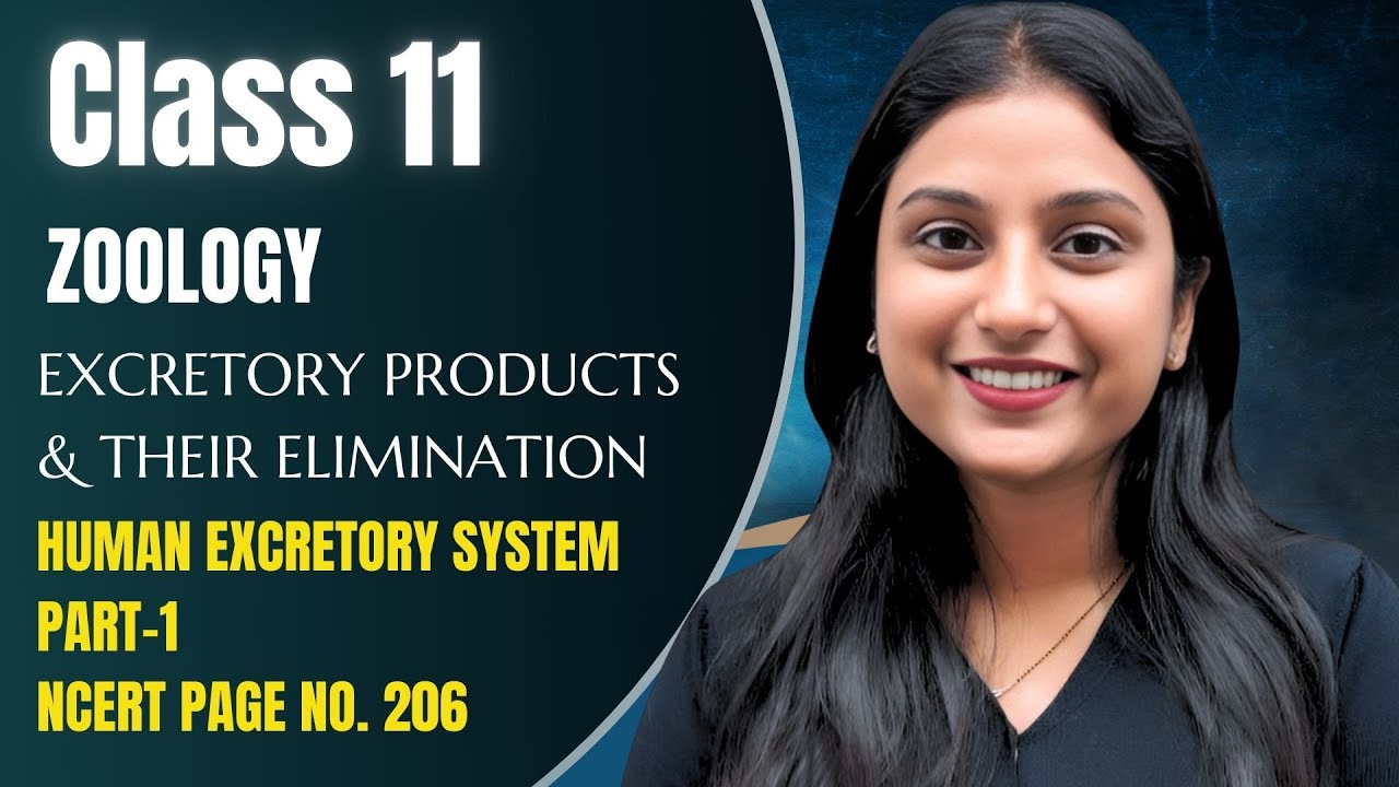 CHAPTER - EXCRETORY PRODUCTS AND THEIR ELIMINATION - HUMAN EXCRETORY ...