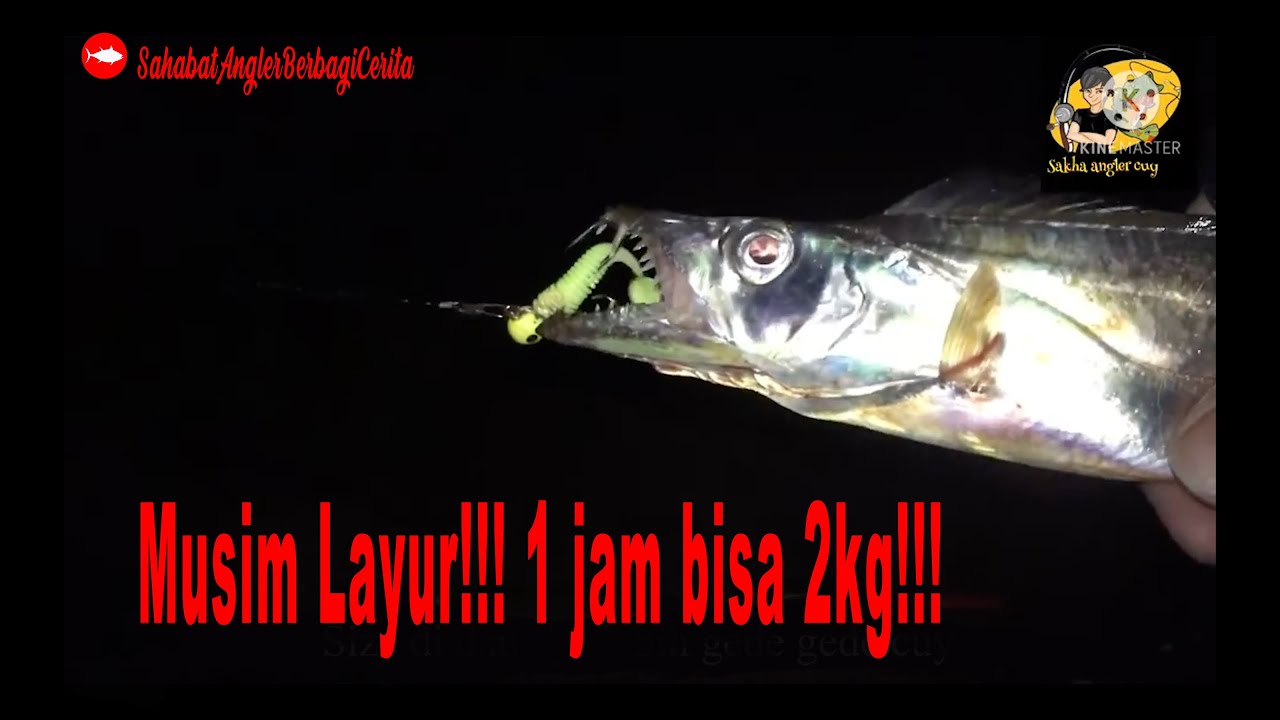 SABC#29 Sakha Angler Mancing layur di muara baru sejam dapat 2 kilo ⁉️ ...