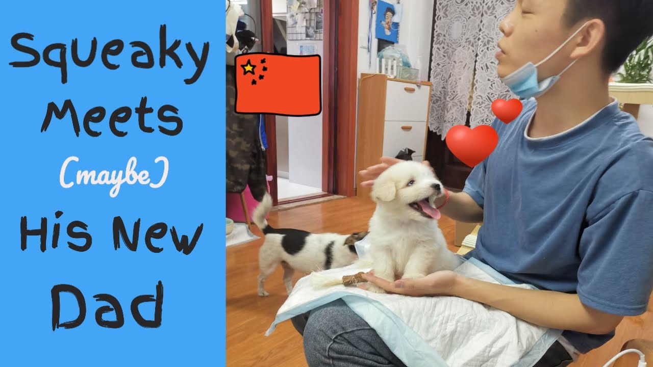 Squeaky 2 - 6 Days after RESCUE in CHINA we interview a possible new ...