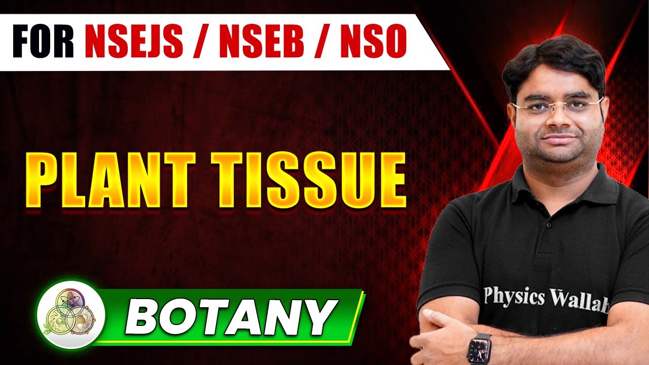 PLANT TISSUE | Botany Olympiad Preparation | For NSEJS / NSEB / NSO ...