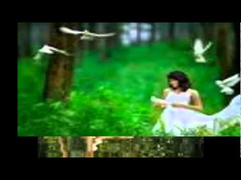 YAVUZ BİNGÖL AYRILDIM
