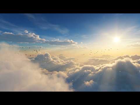 Cinematic Sky Loop: Birds Soaring in Sun Rays #youtubeshorts #shorts #cinematicvideo