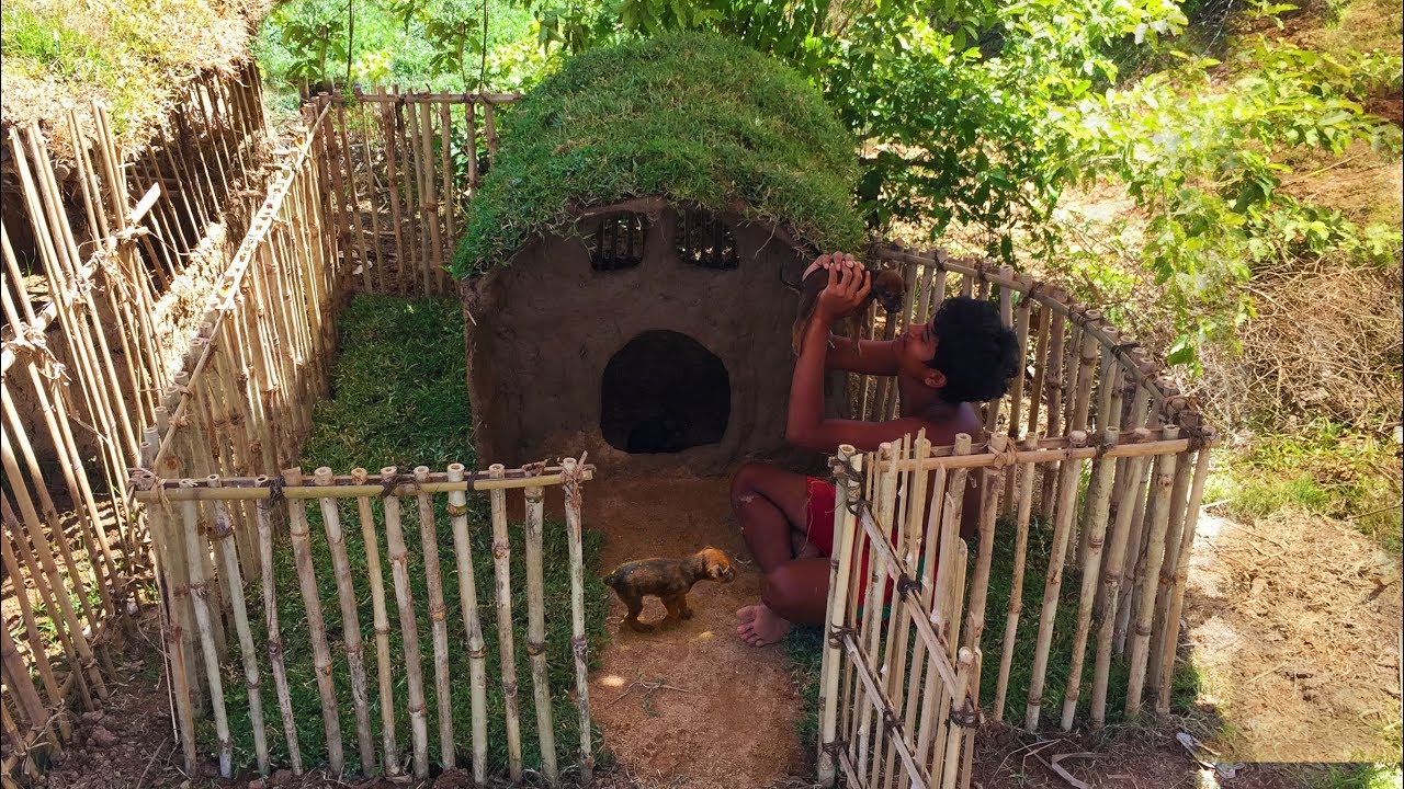 Secret Of Primitive: Building Wild dogs House - YouTube