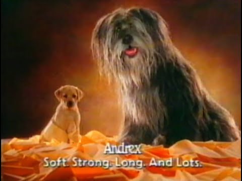 Andrex Puppy advert with a Big Shaggy Dog | 1991 - YouTube