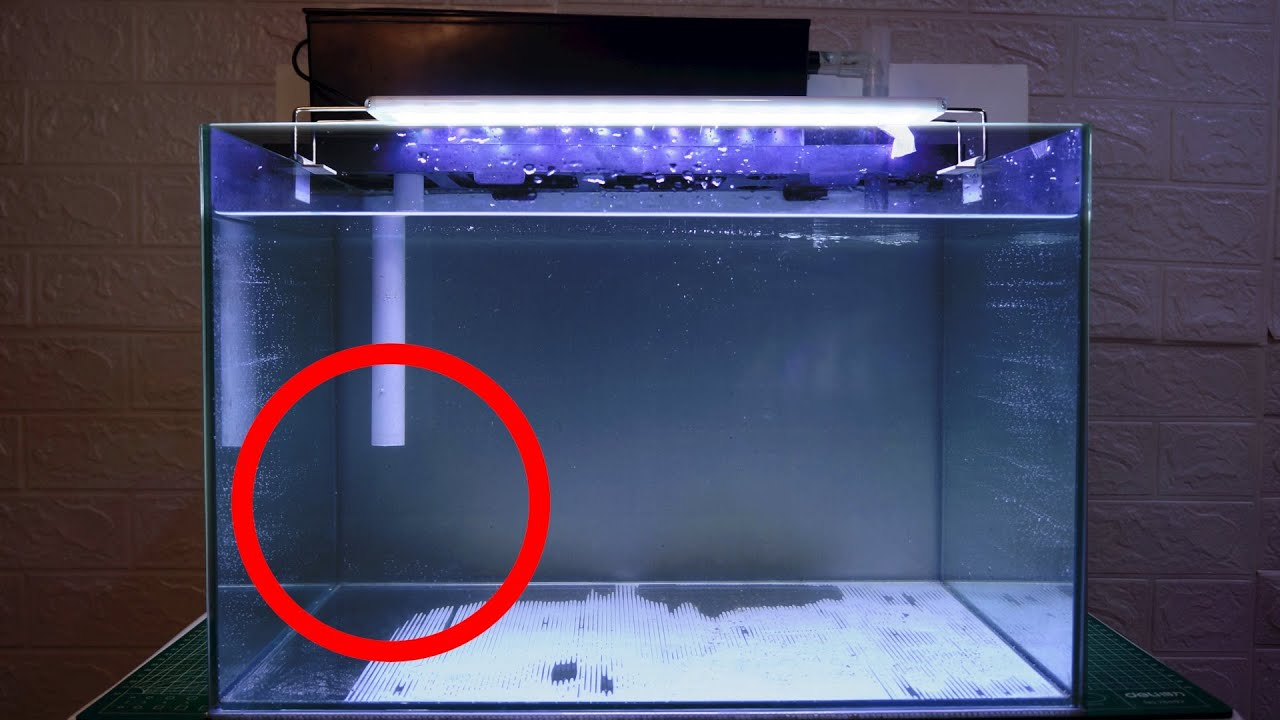 How To Hide The Pump For Top Filter Aquarium - YouTube