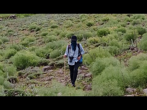 sevkâr köyü yeni,Fatih Gezer