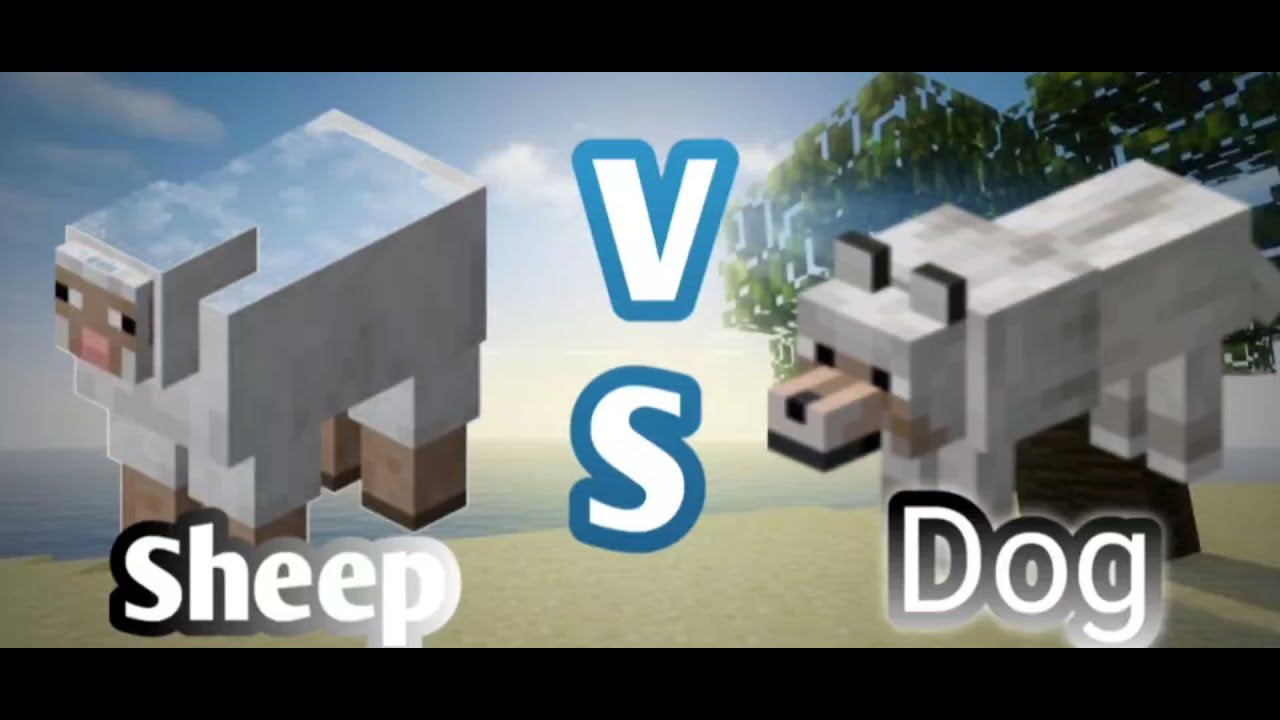 Minecraft:Sheep VS. Dog RIP.sheep - YouTube