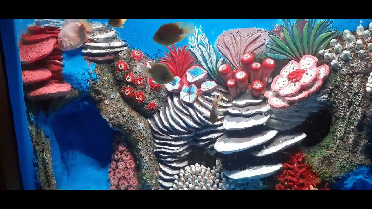 Radiant Fish World cox's Bazar part 1 - YouTube