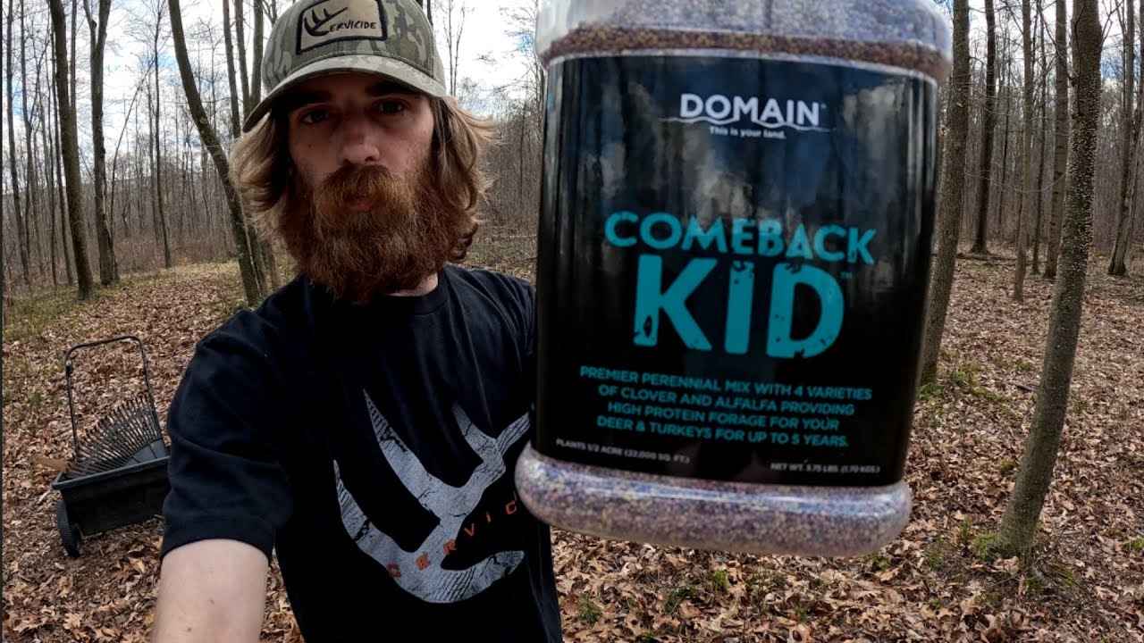 Domain Outdoor Comeback Kid Seed And Growth. Is It Really Good? - YouTube