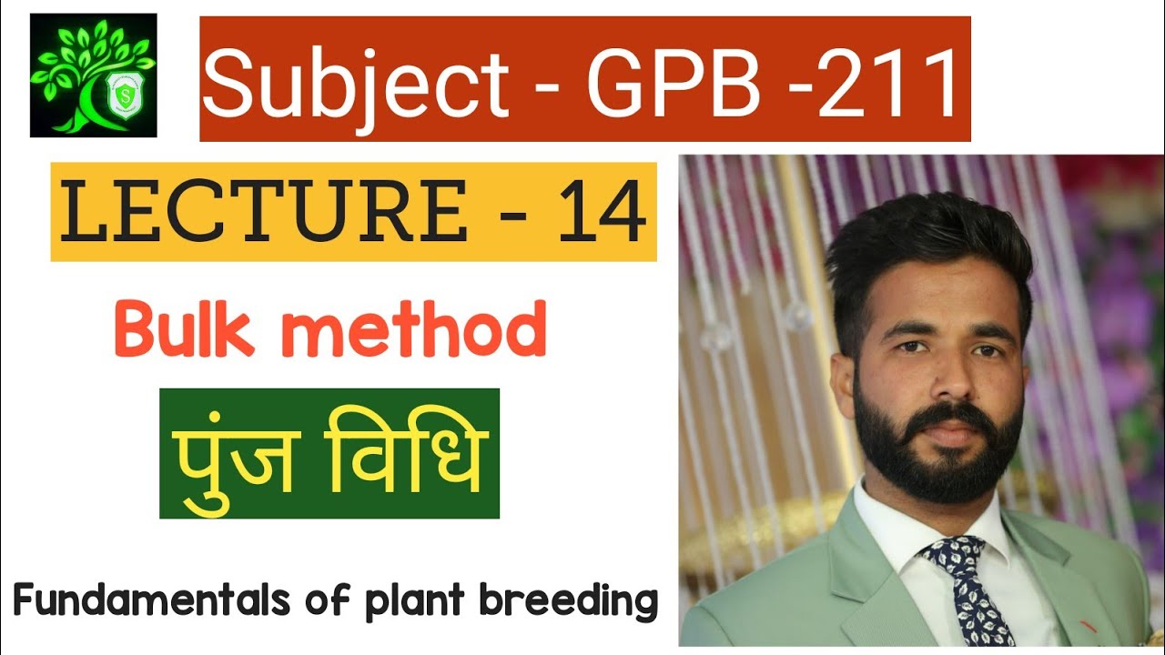 Bulk method | पुंज method of hybridization | Fundamentals of plant ...