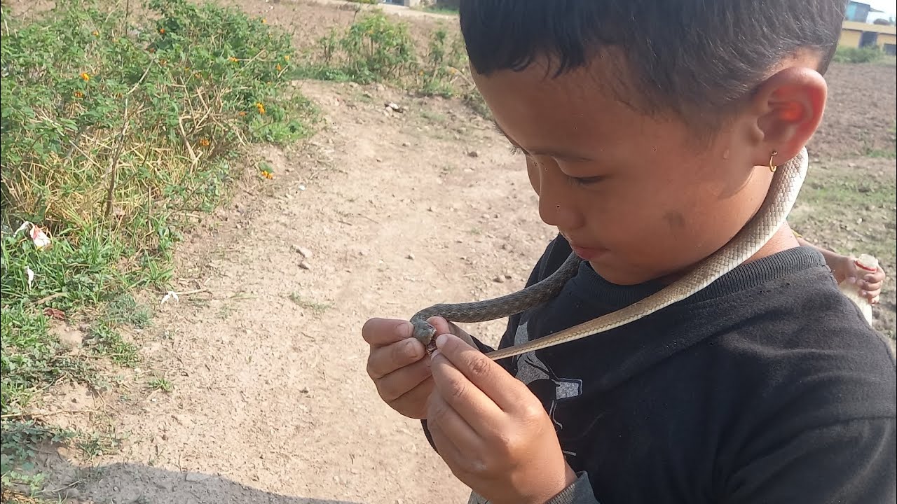 vai la snake pakarekro🐍 - YouTube