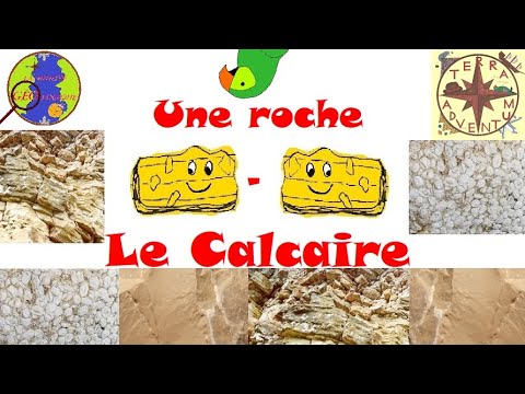 Une roche - Le calcaire [Minute géologique #17] - YouTube