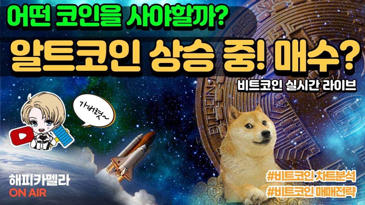 비트코인 실시간 알트코인 상승 중 매수 어떤 코인을 사야할까 1220 저녁💎 비트코인 비트코인실시간 이더리움