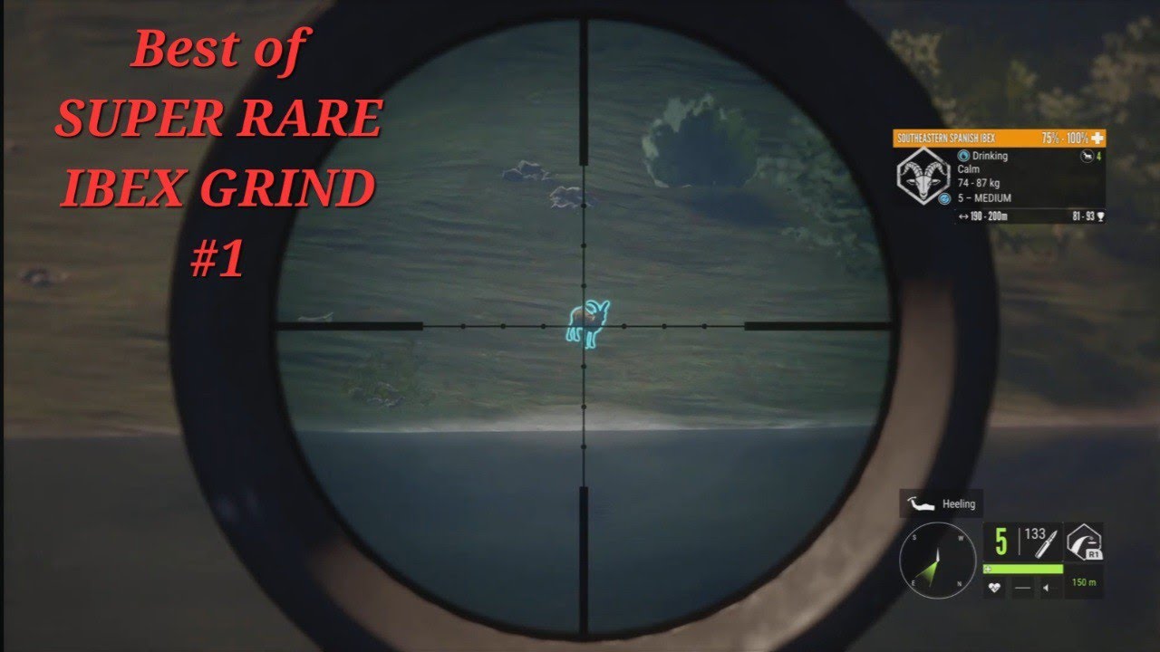 Best of SUPER RARE Ibex Grind #1 / TheHunter Call of the Wild - YouTube