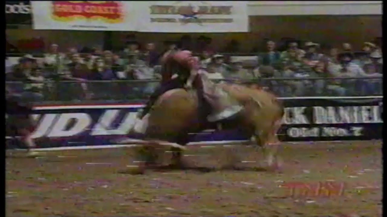 Cody Custer vs Gator - 98 PBR Ft. Worth (90 pts) - YouTube