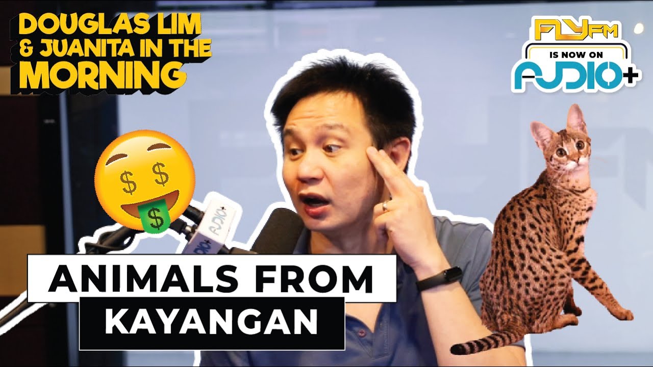 Animals From Kayangan | Douglas Lim & Juanita In The Morning - YouTube