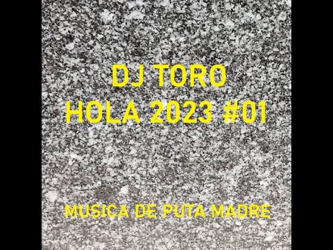 DJ TORO - HOLA 2023 #01@DJ_TORO - YouTube