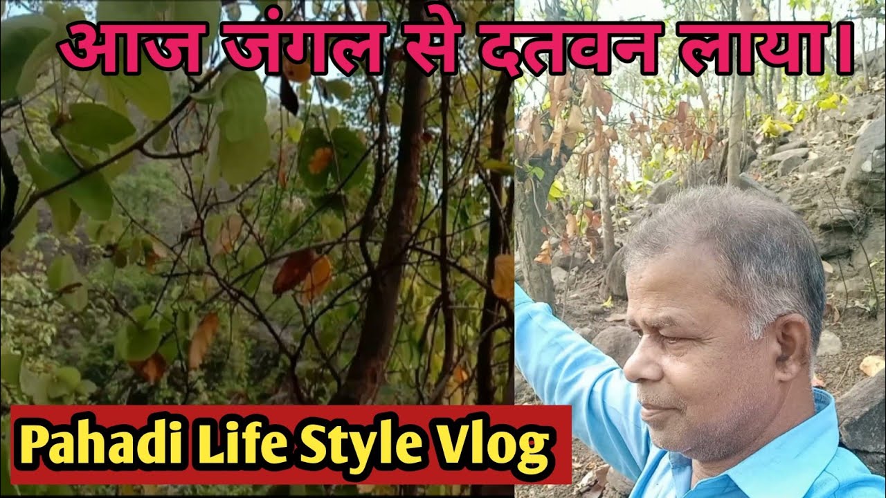 Aaj Jangal Se Datwan Laya || Pahadi Life Style Vlog ||🔥 - YouTube