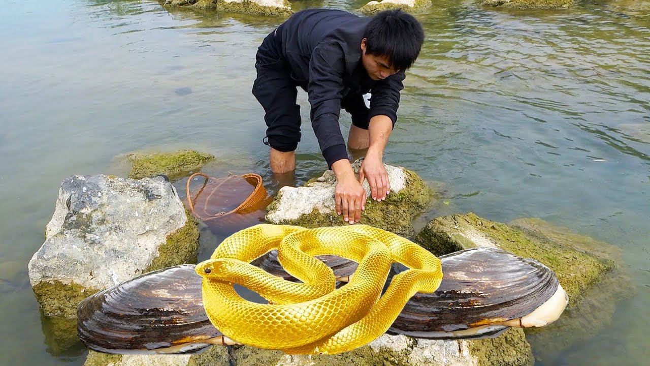 💎⛏️The huge clams at the bottom of the river amaze me endlessly ...