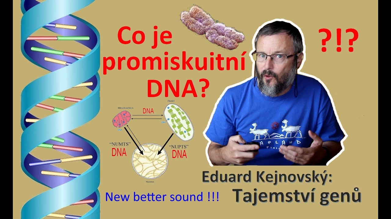 Co je promiskuitní DNA? (Tajemství genů 27) - YouTube