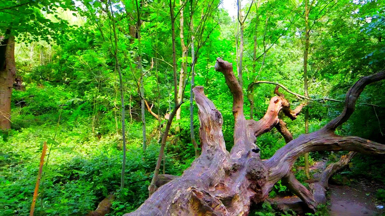 HH01 | 3 Colour Wheels | 1st Stage Improvement of original clip - YouTube