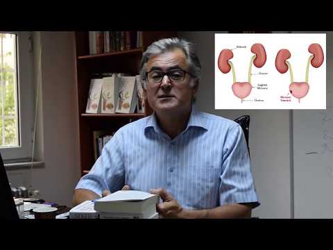 SAKARİN VE ASPARTAM GERÇEK BİR ZEHİRDİR