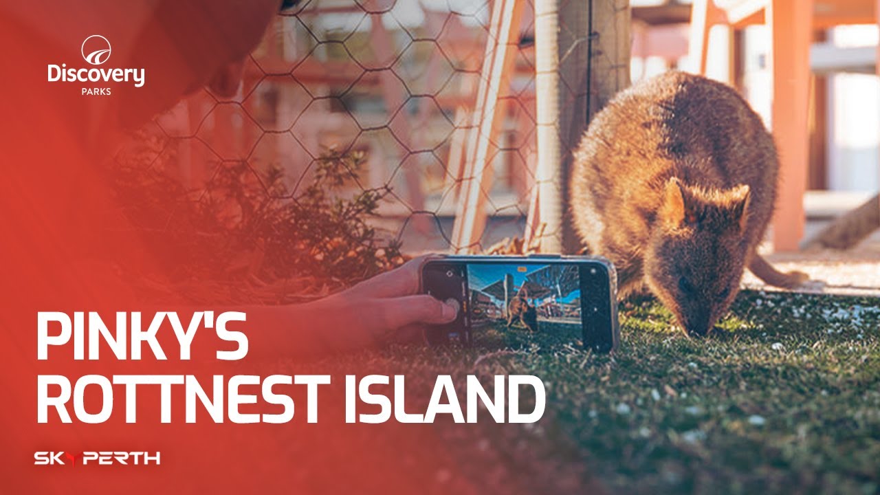 Enjoying the best sunset views in Rotto - Pinky's Rottnest Island - YouTube