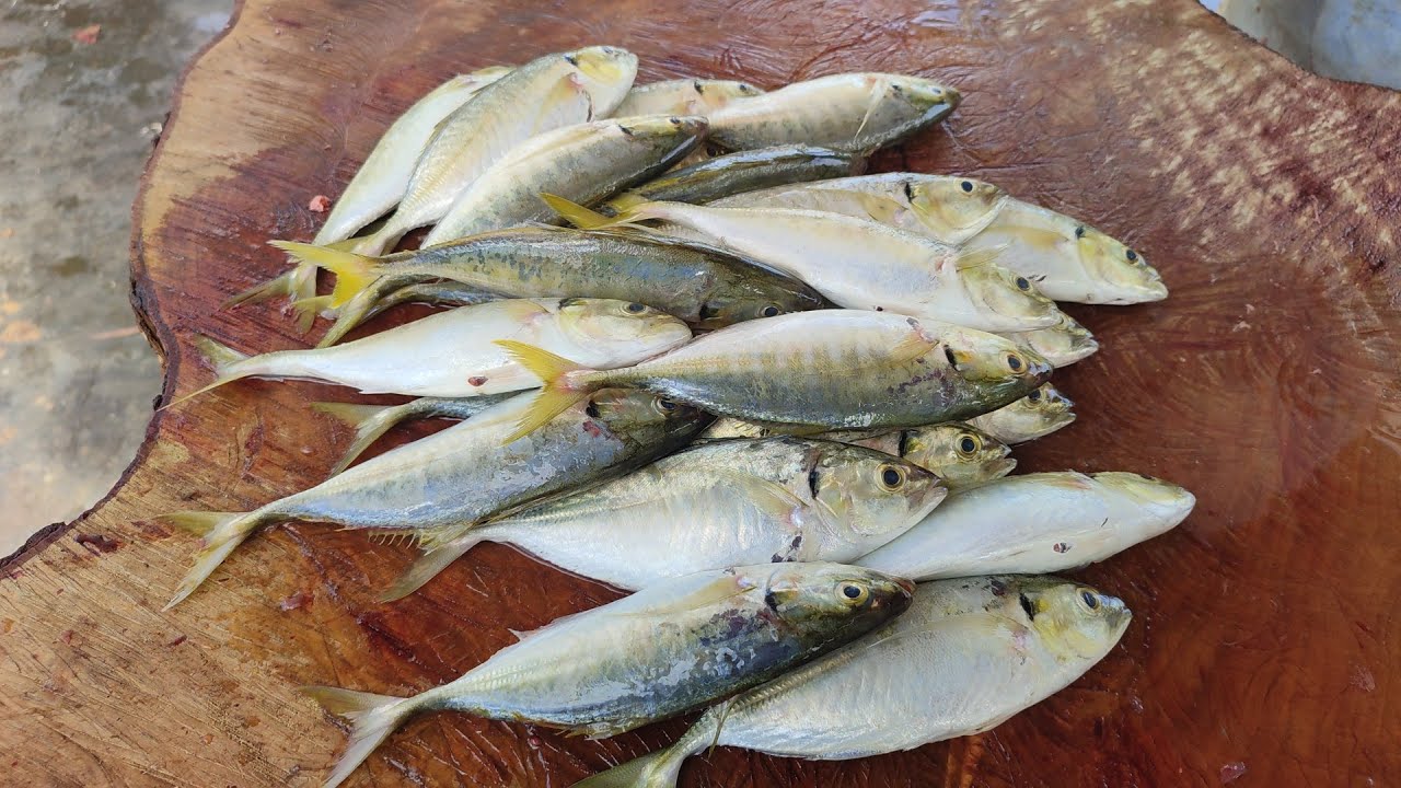 Amazing Small Fish Cutting Skills - YouTube