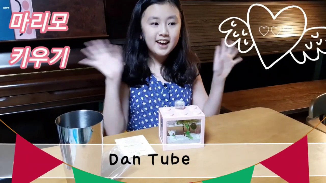 Dan tube 첫 영상 (마리모 키우기) - YouTube