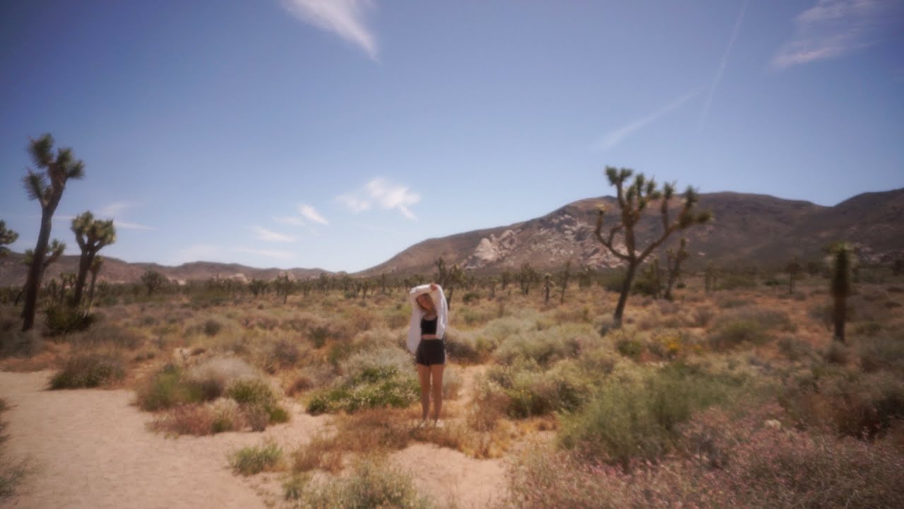 Night And Day - Melissa Lamm (VISUALIZER) - YouTube