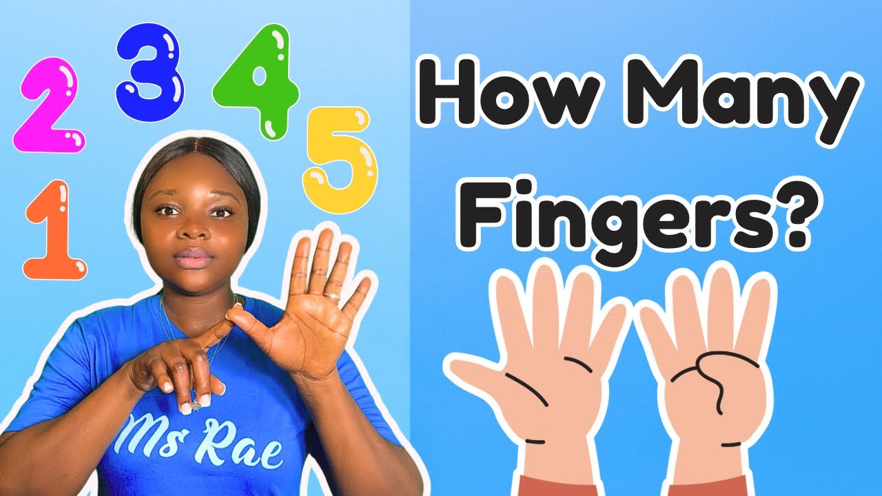How Many Fingers and Toes | Counting Action Songs for kids - YouTube