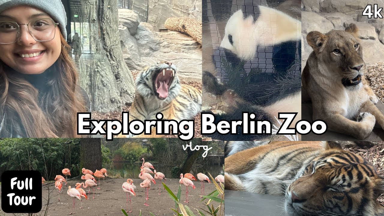 Berlin Zoo Full Tour in 4k | Berlin Zoological Garden | Zoo Berlin ...