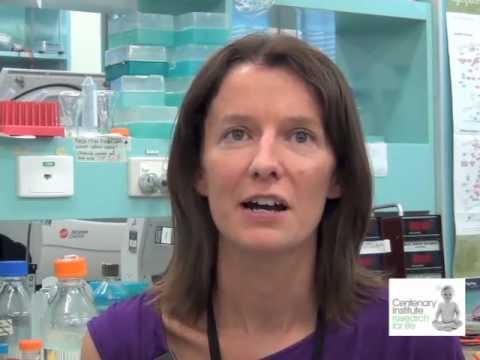 Tuberculosis Treatment - Dr Simone Barry on Drug Resistant TB - YouTube