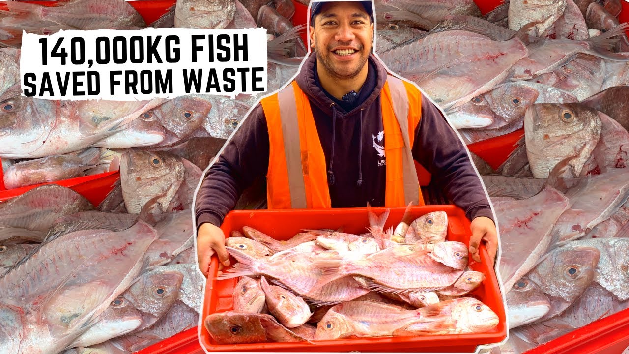 Saving 140,000kg of fish from waste | Auckland, New Zealand - YouTube