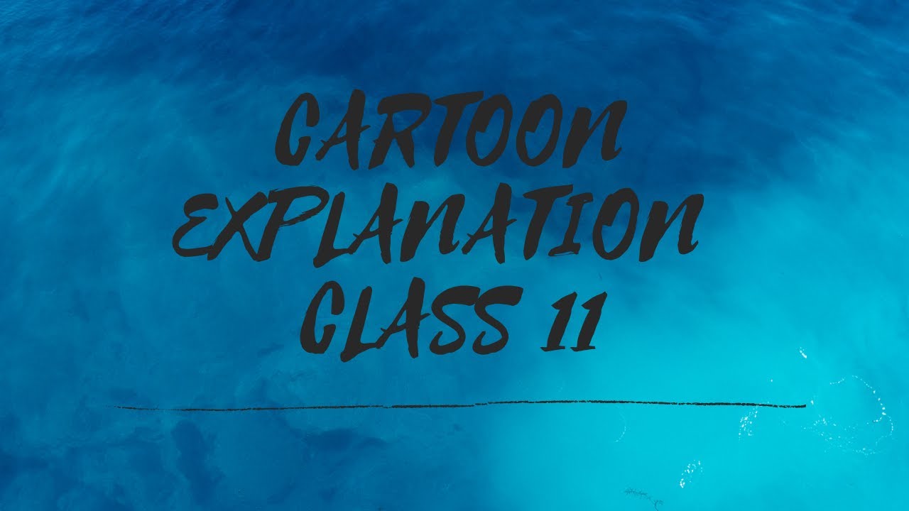 CLASS 11 POLITICAL SCIENCE CARTOON EXPLANATION CONSTITUTION:WHY AND HOW ...