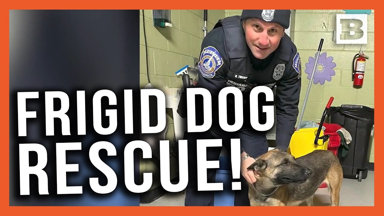 "He’s Just Freezing”: Police Release Bodycam Footage of Officers ...