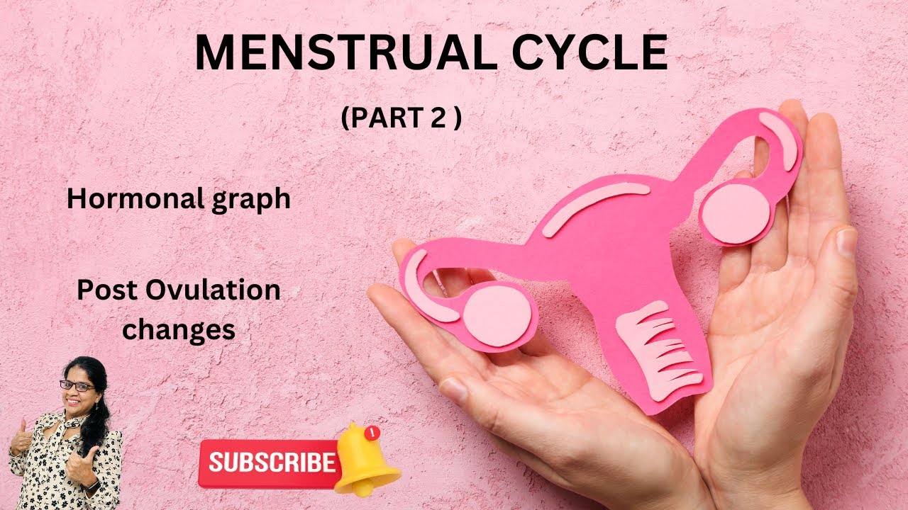 MENSTRUAL CYCLE PART 2 || SECOND HALF OF CYCLE|| HORMONAL GRAPH || POST ...