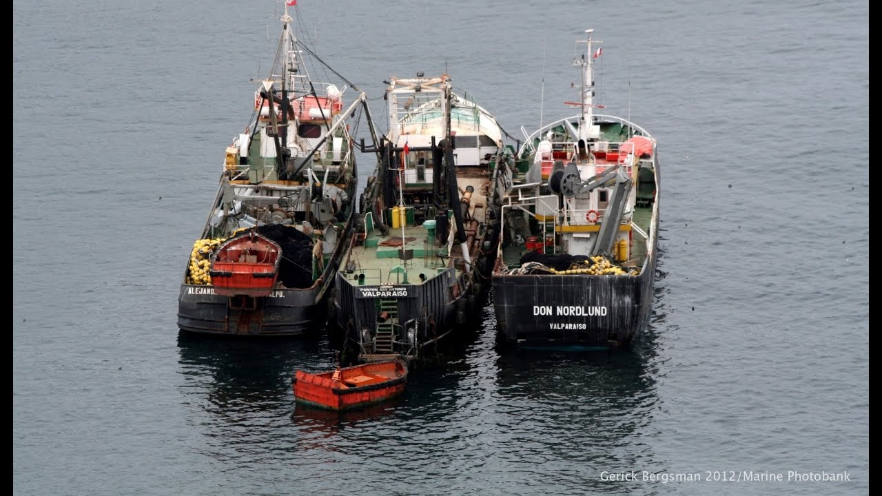 Hugo Salgado: Individual Transferable Quotas in Chilean Fisheries - YouTube