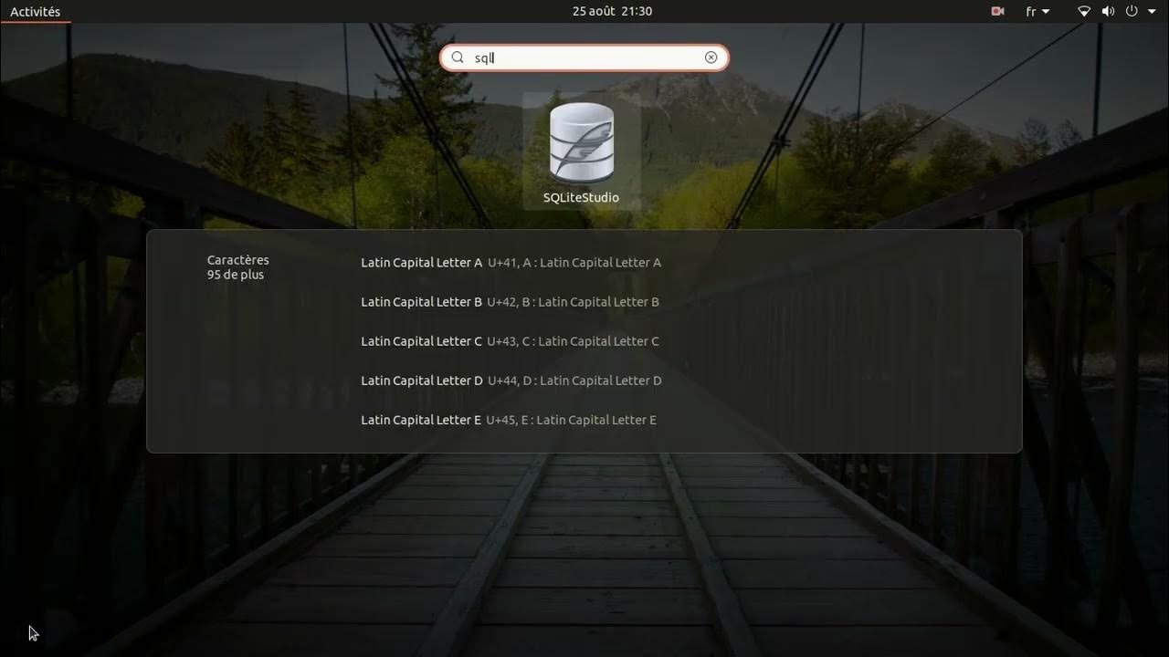 netbeans password application (java mot de passe pour l'application ...