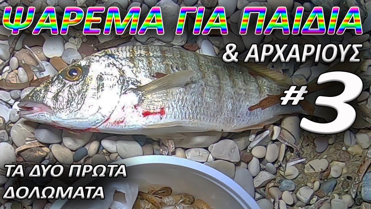 ΨΑΡΕΜΑ ΓΙΑ ΠΑΙΔΙΑ & ΑΡΧΑΡΙΟΥΣ #3 | ΤΑ ΔΥΟ ΠΡΩΤΑ ΣΑΣ ΔΟΛΩΜΑΤΑ ️ ...