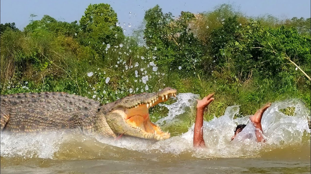 Crocodile Attack Man in Water || Crocodile attack Man || crocodile attack stories-Part 1 - YouTube