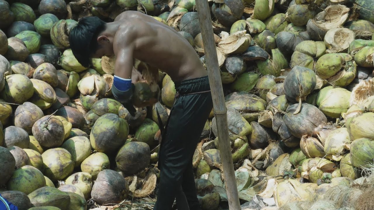 unusual way of processing coconut, breaking a coconut-Thai Street Food ...