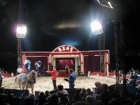 Berti Fußballpferd Circus Franz Renz - YouTube