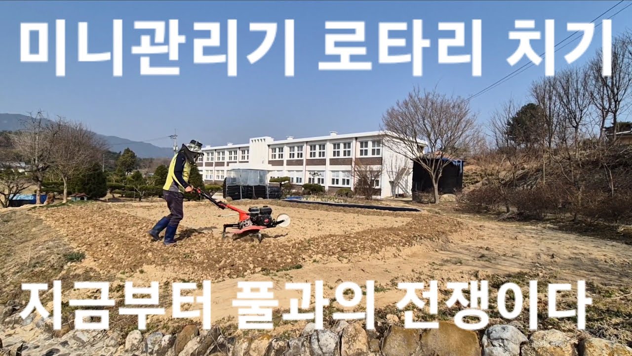 고추밭 미니관리기로 로타리 치기 미니관리기 관리기 로타리 농기계 농기계추천 농기구 귀촌생활 귀촌 전원일기