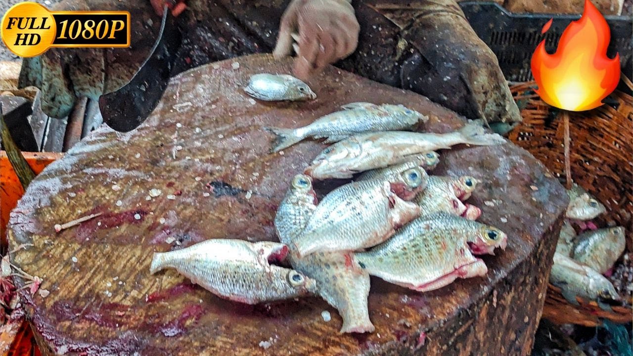 KASIMEDU 🔥SELVAM FISH CUTTING | SMALL FISH CUTTING🐟 | FISH CUTTING ...