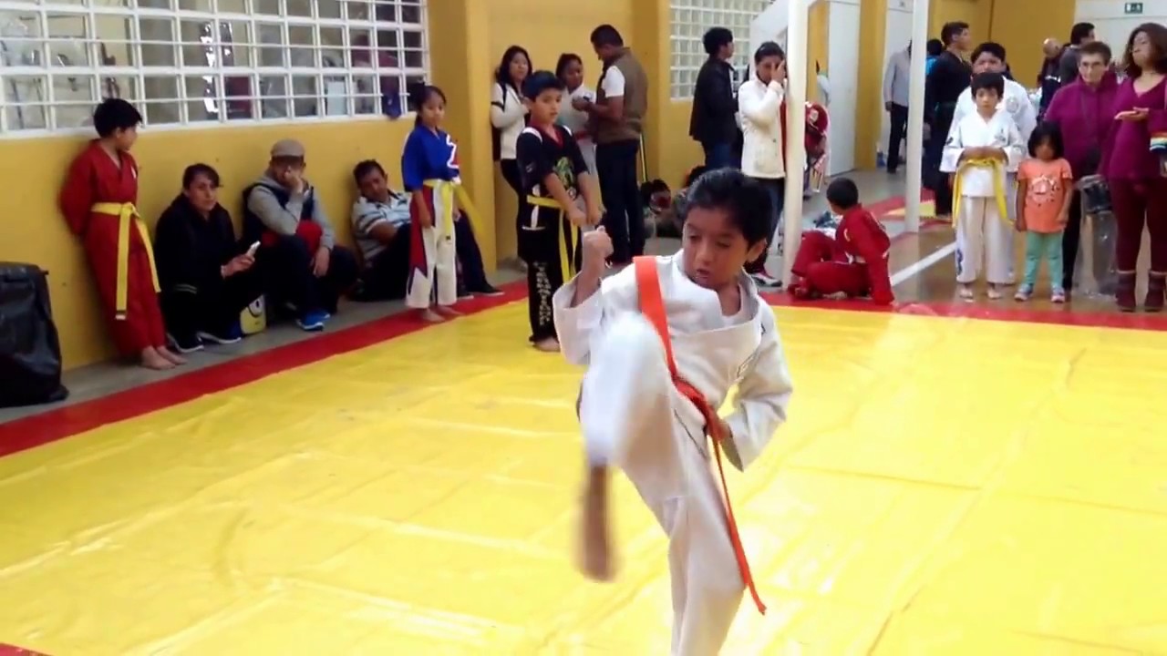 Mi torneo de karate (yo soy el cinta naranja - YouTube